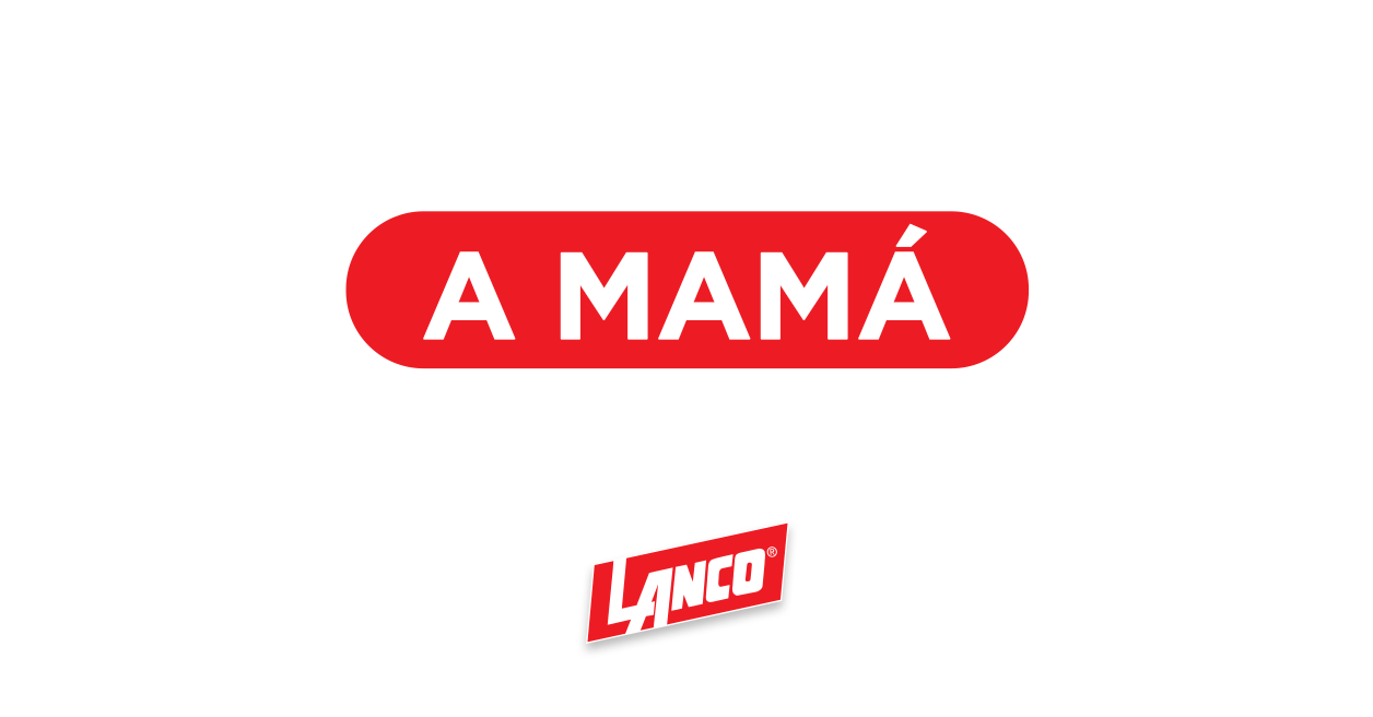 Pinturas para el Hogar | Interiores y Exteriores | Pinturas LANCO