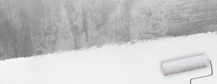 Pinturas para el Hogar | Interiores y Exteriores | Pinturas LANCO