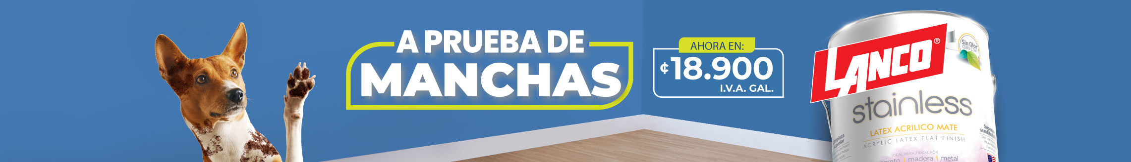 Pinturas para el Hogar | Interiores y Exteriores | Pinturas LANCO