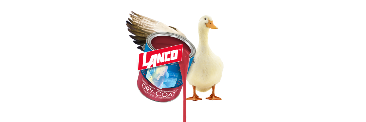 Pinturas para el Hogar | Interiores y Exteriores | Pinturas LANCO